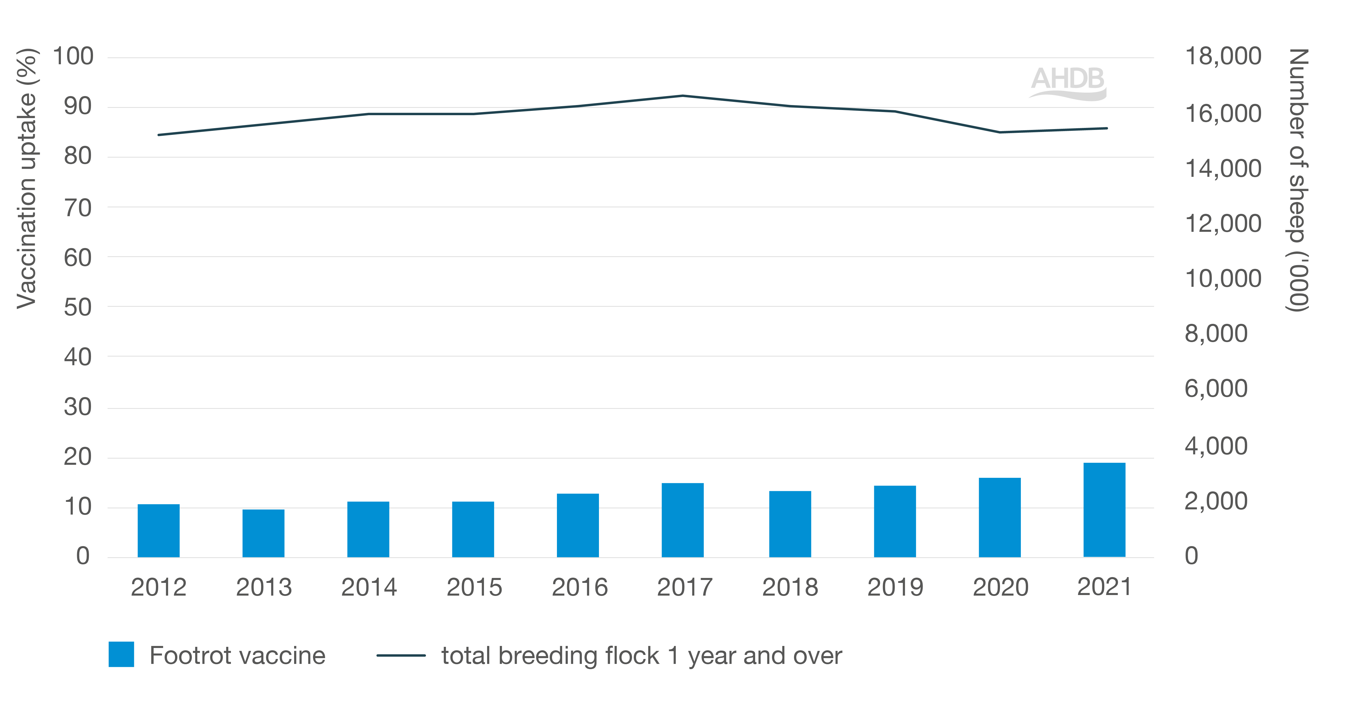 Lameness vaccines in sheep | AHDB